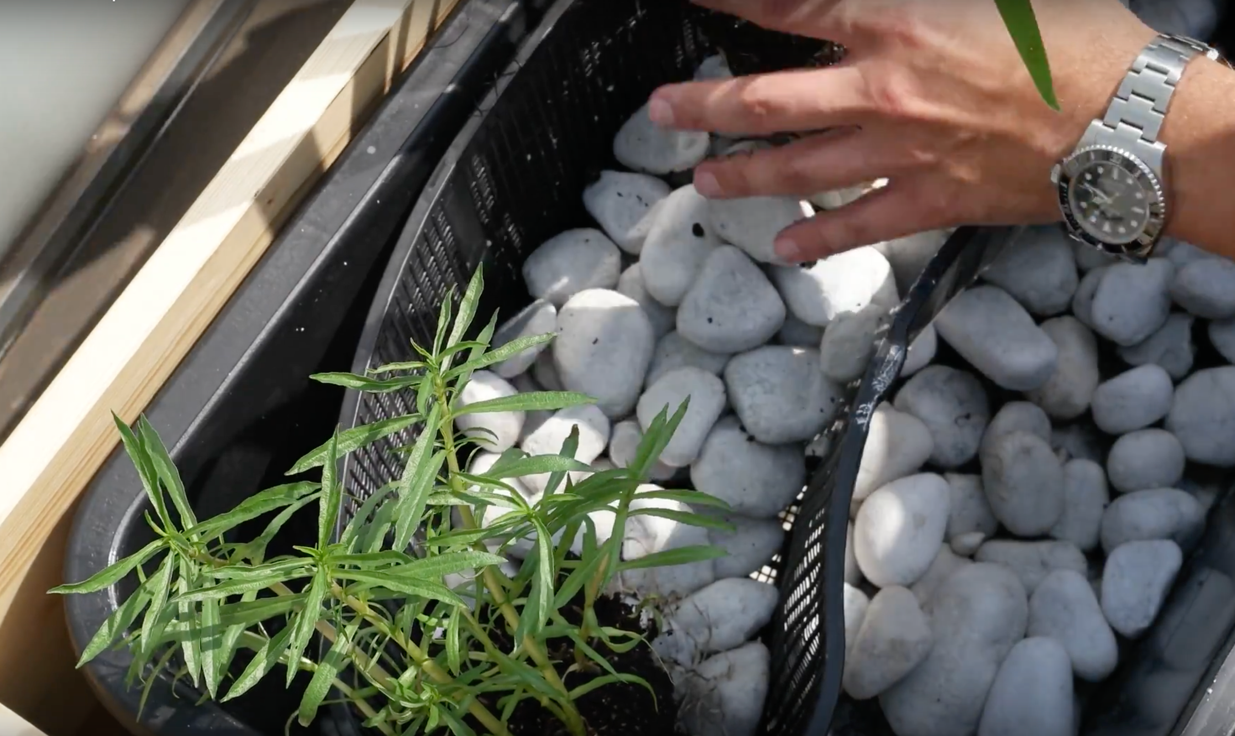 DIY Mini Pond : 3 Steps (with Pictures) - Instructables