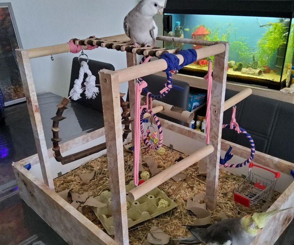 Amusement Bird Park : 6 Steps - Instructables