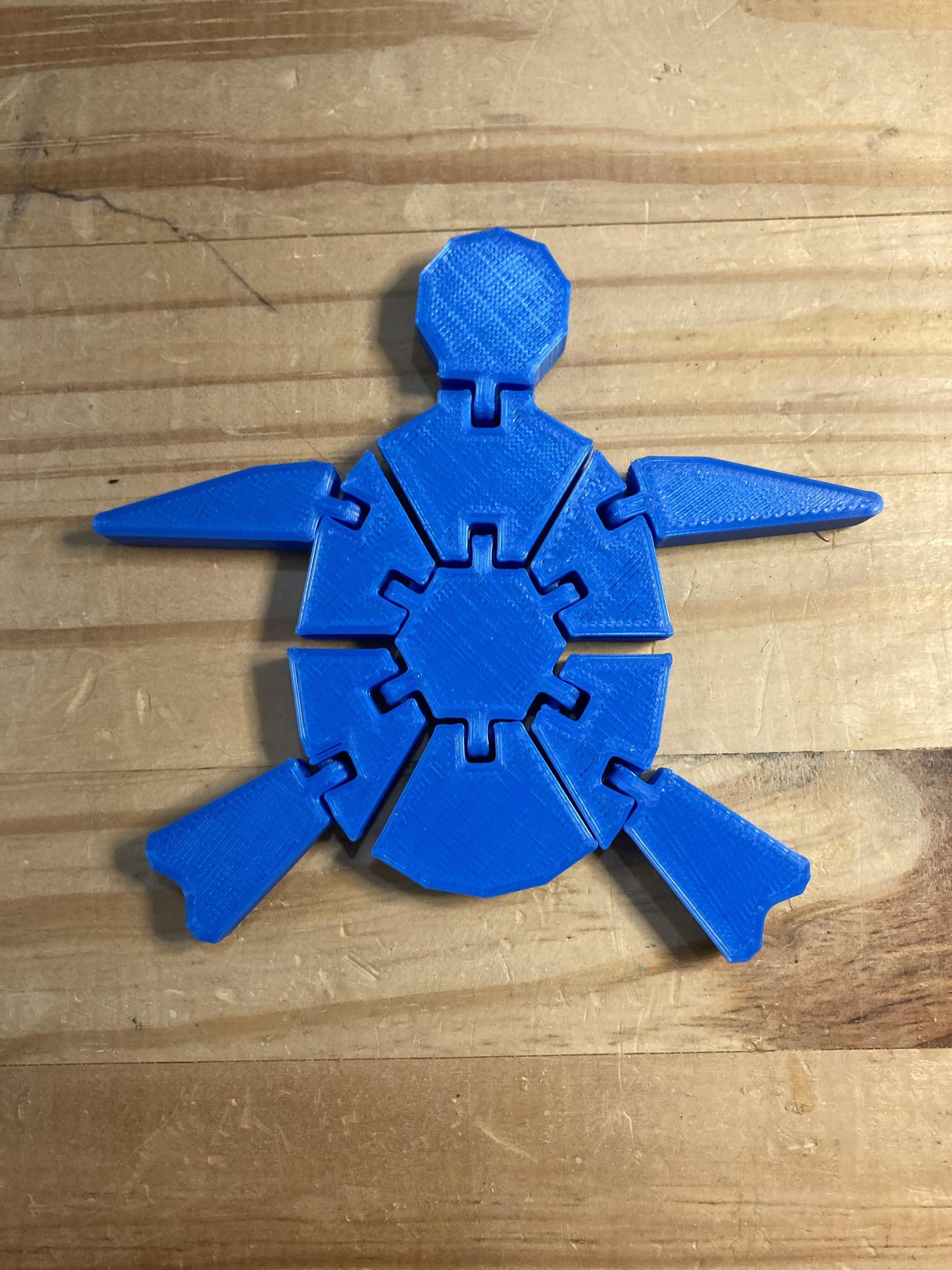 Articulated Turtle Fidget Toy : 9 Steps (with Pictures) - Instructables