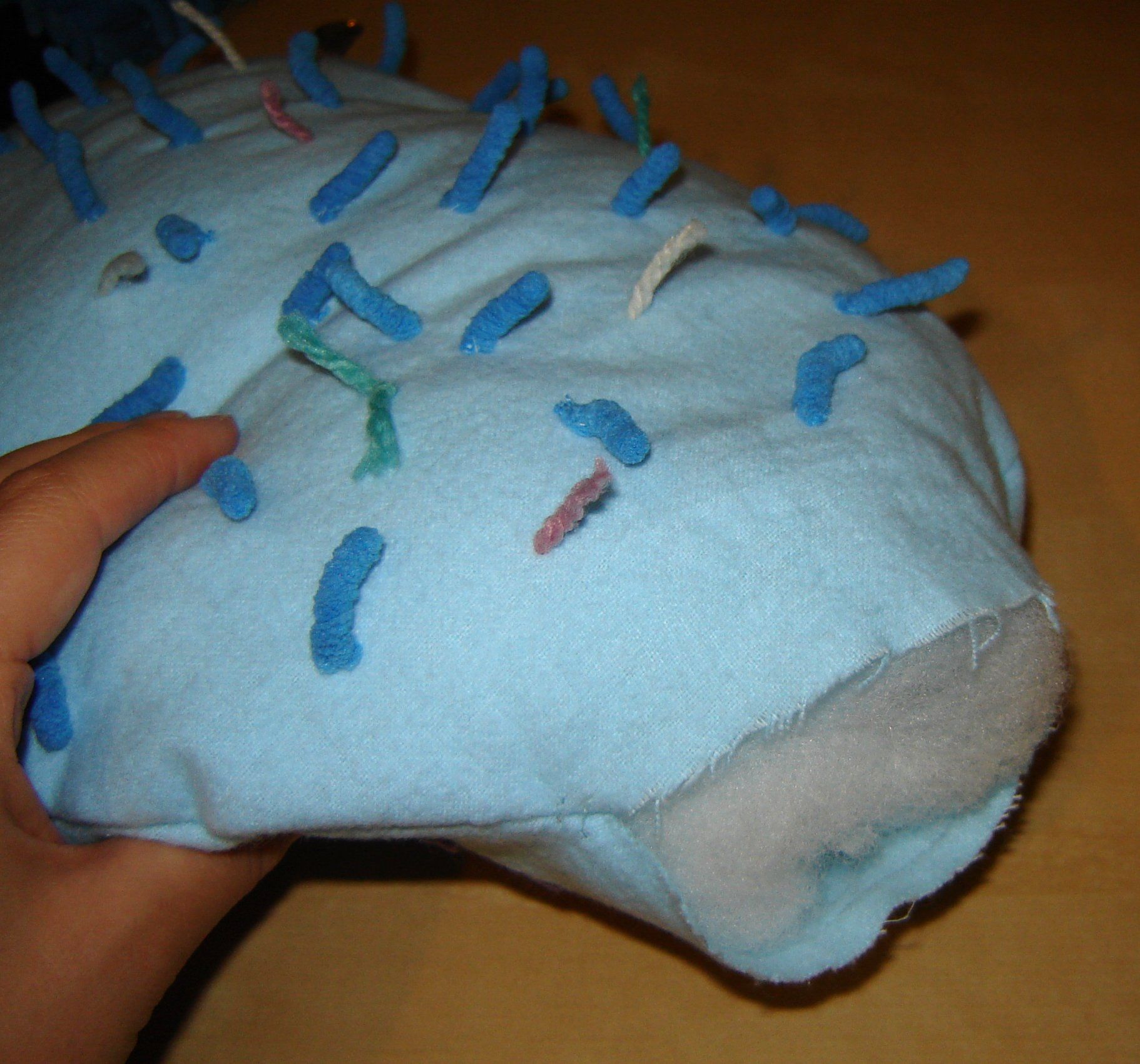 Plush Cell Model : 13 Steps (with Pictures) - Instructables