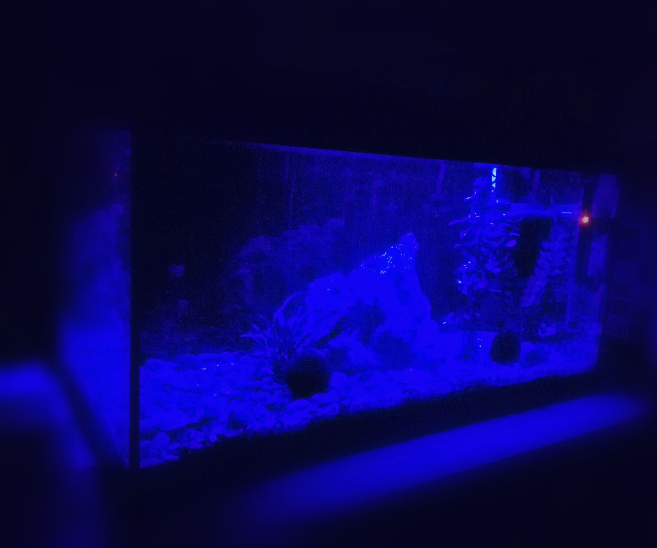 Simple and Cheap Aquarium Moonlight - Instructables