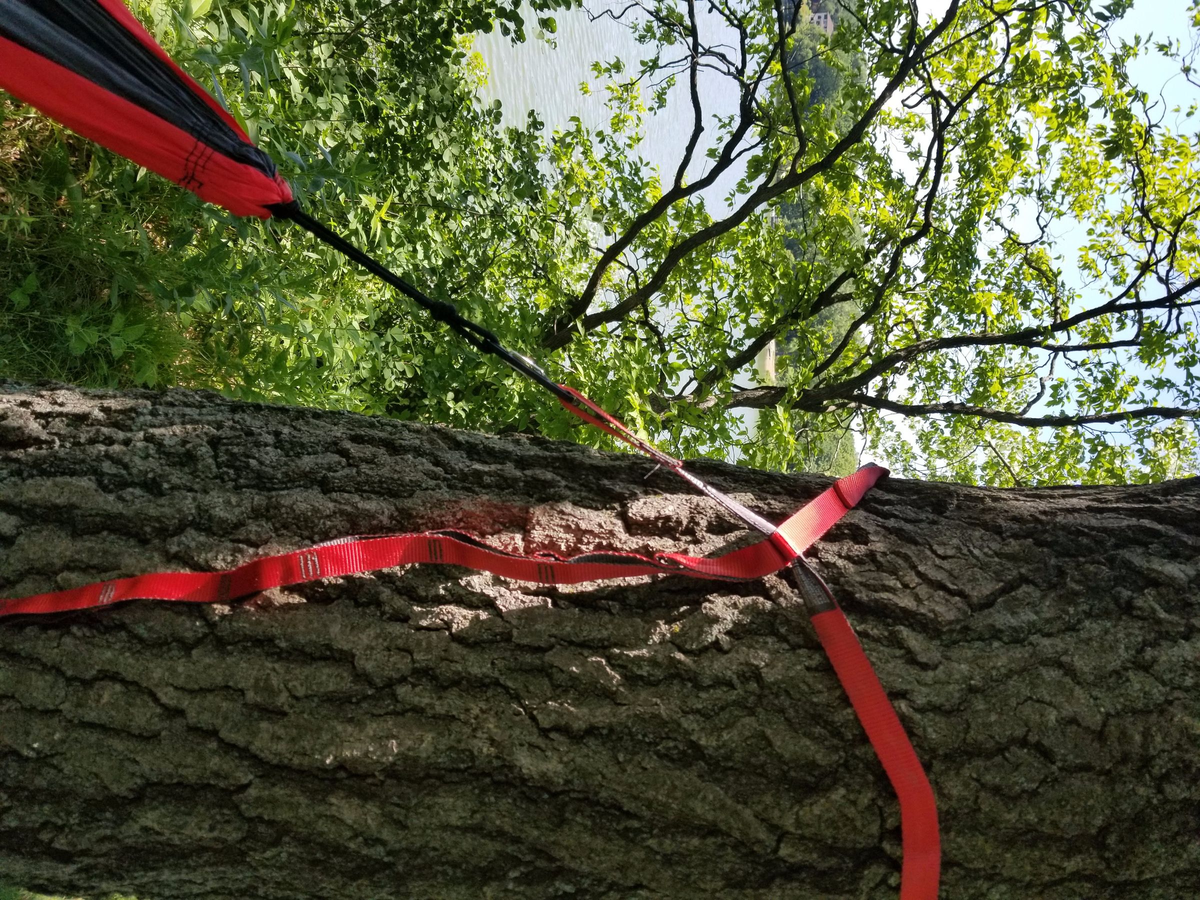 One-Tree Hammock System, Ultralight : 6 Steps (with Pictures) - Instructables