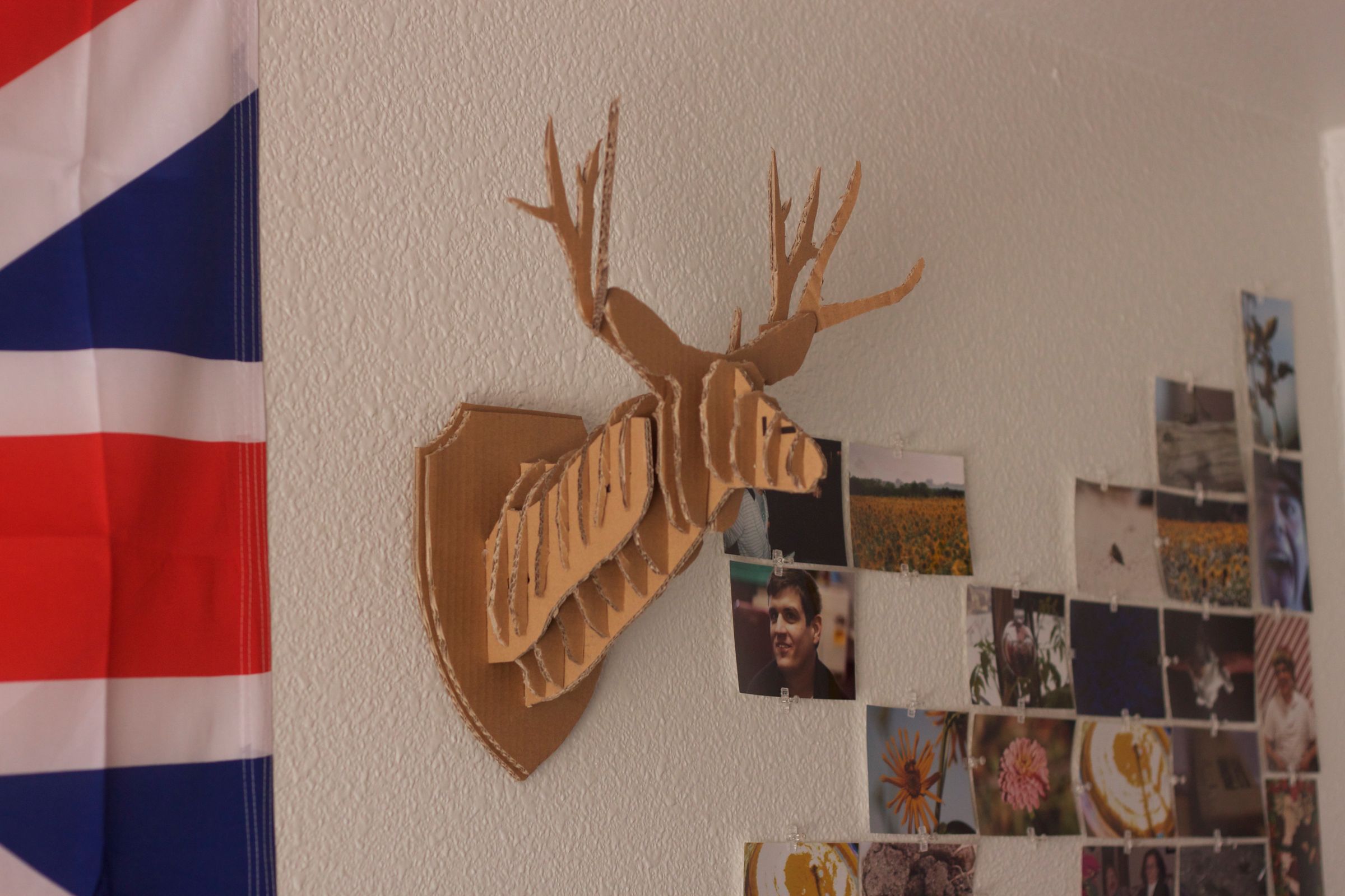DIY Cardboard Deer Head : 5 Steps (with Pictures) - Instructables