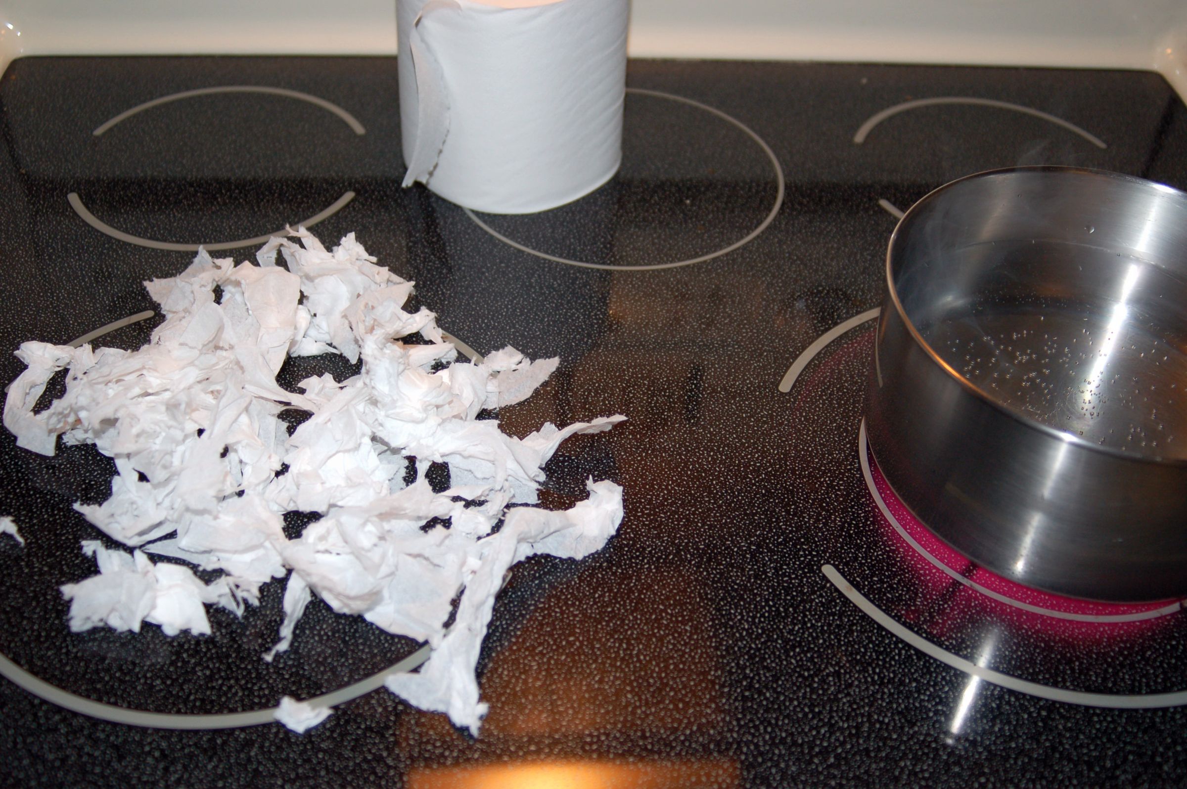 Make Paper Mache Pulp : 5 Steps - Instructables