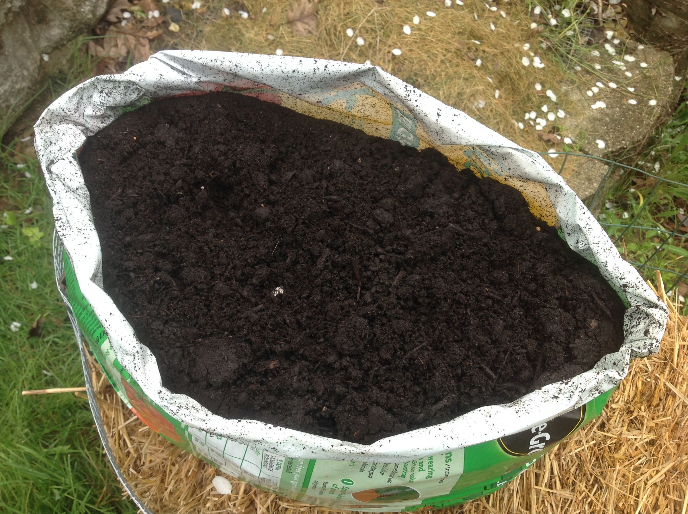 Straw Bale Gardening : 8 Steps (with Pictures) - Instructables