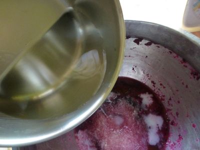 How to Make Jamun Wine : 8 Steps (with Pictures) - Instructables