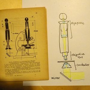 Revive an Old Microscope: Proper Cleaning, New Light Source (with ...