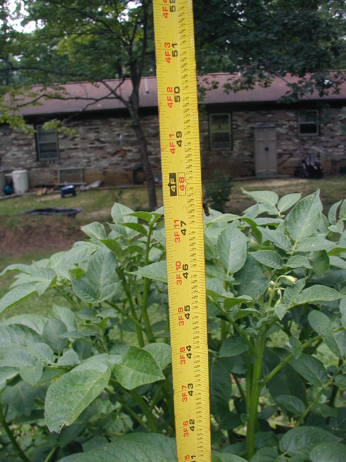 Tater Totes: Potato Grow Bags : 7 Steps (with Pictures) - Instructables