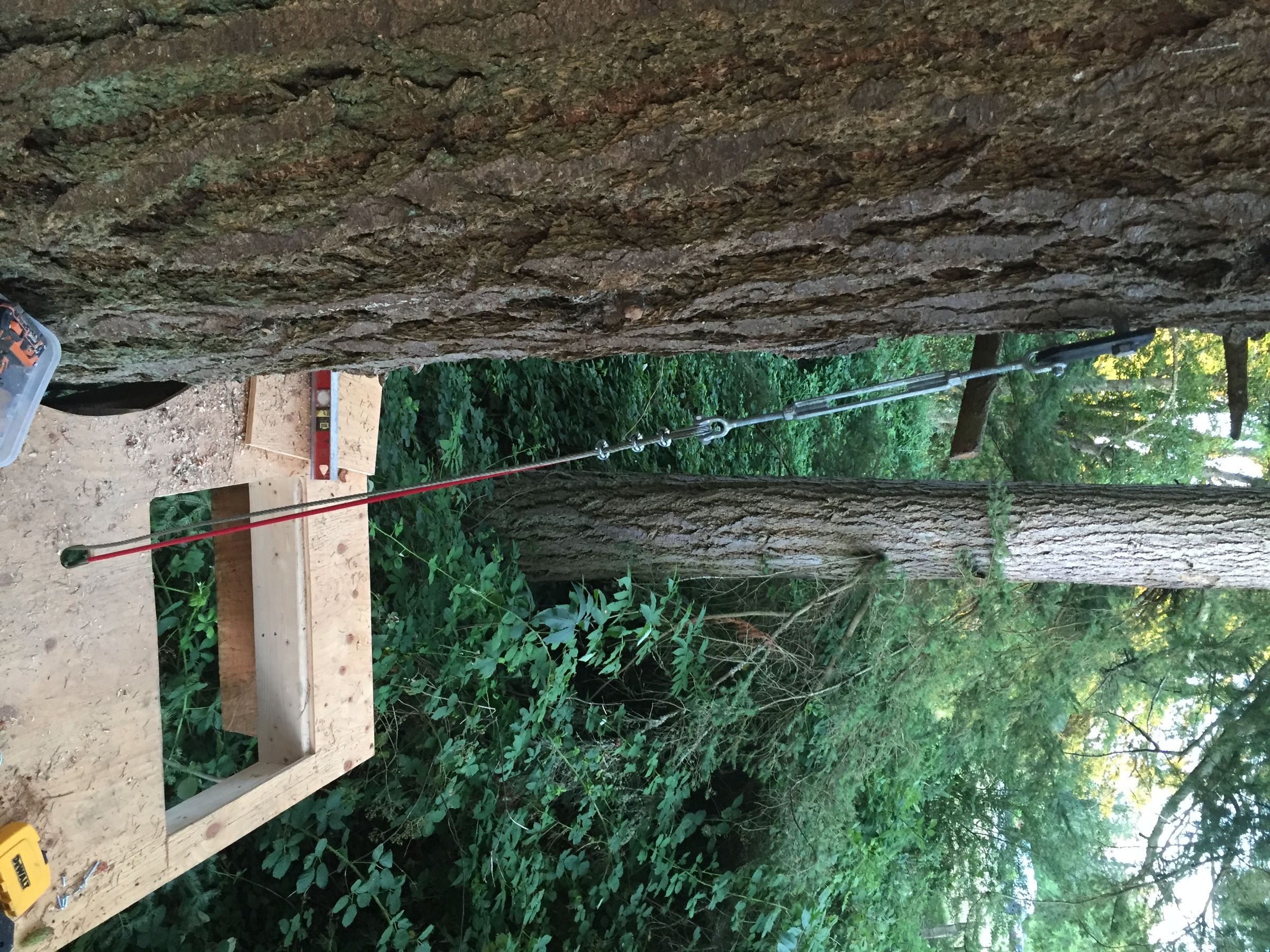 Treehouse Build : 10 Steps (with Pictures) - Instructables