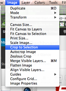 Easy Rectangular Cropping in Adobe Photoshop and the GIMP : 3 Steps ...