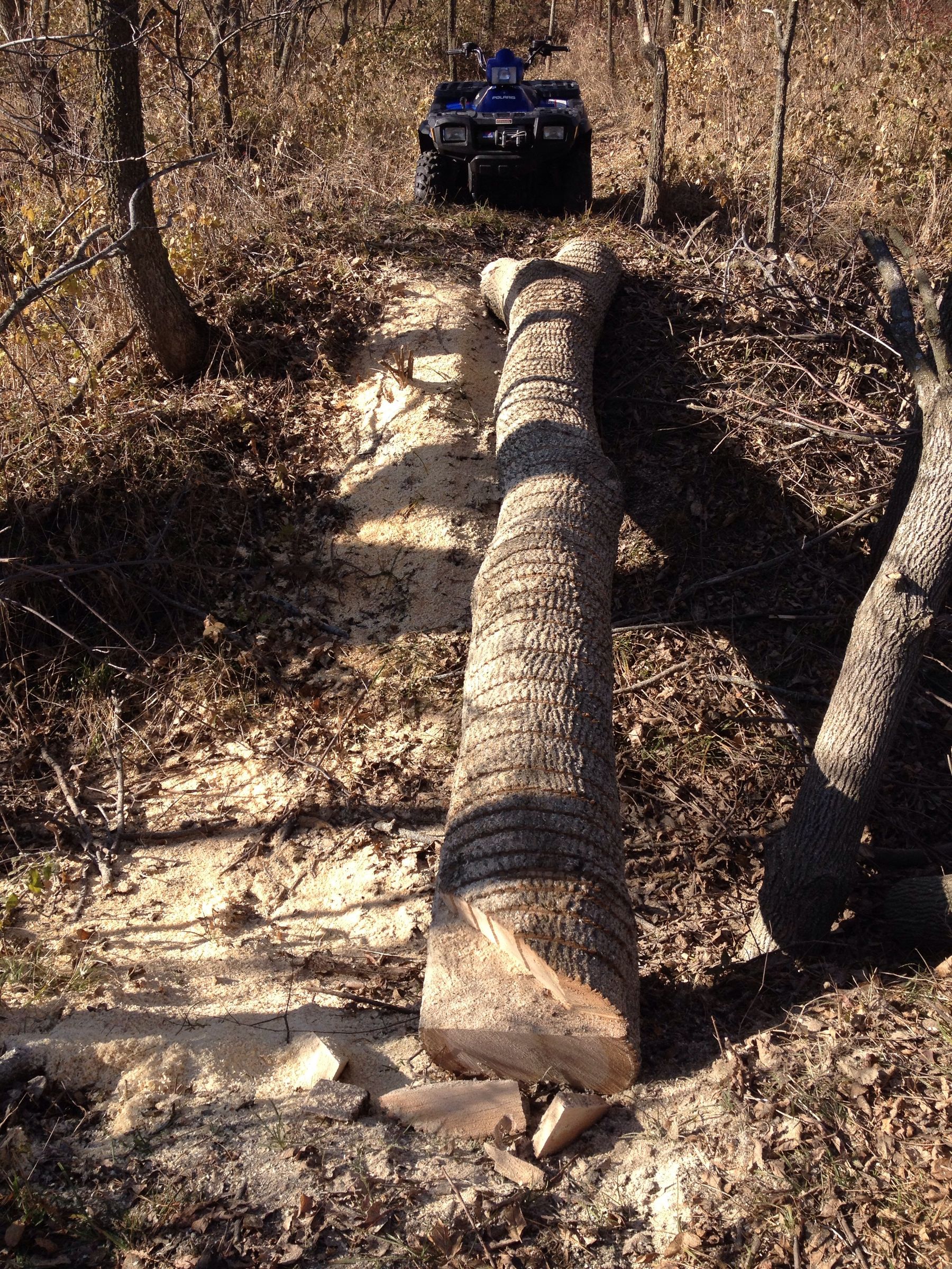 How to Make a Mountain Bike Bridge : 4 Steps - Instructables
