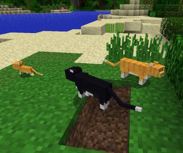 Minecraft Animals : 13 Steps (with Pictures) - Instructables