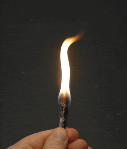 Dryer Lint Fire Starter Twigs : 6 Steps (with Pictures) - Instructables