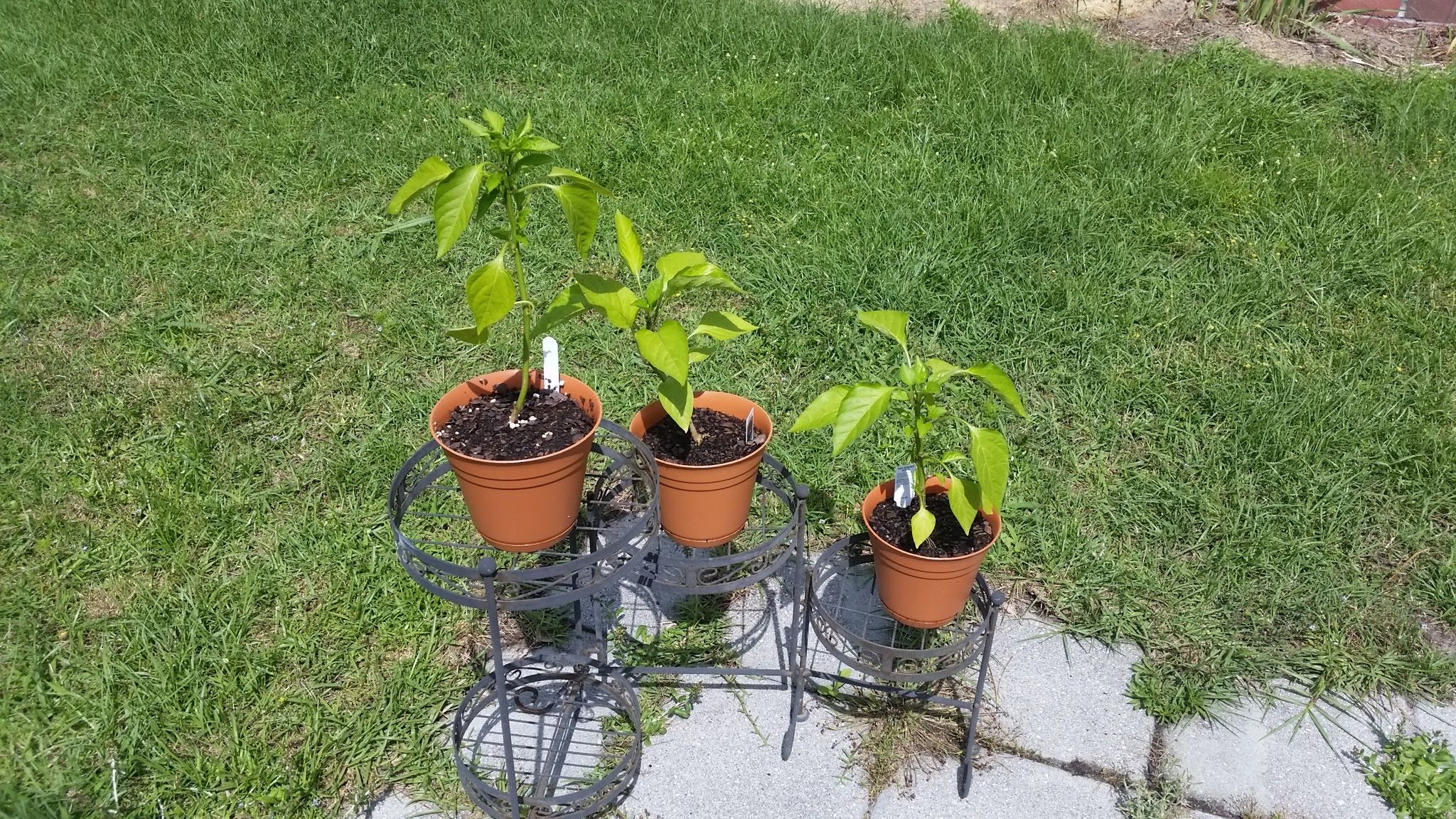 Build a Concrete Block Garden for Food and Memories : 10 Steps (with ...