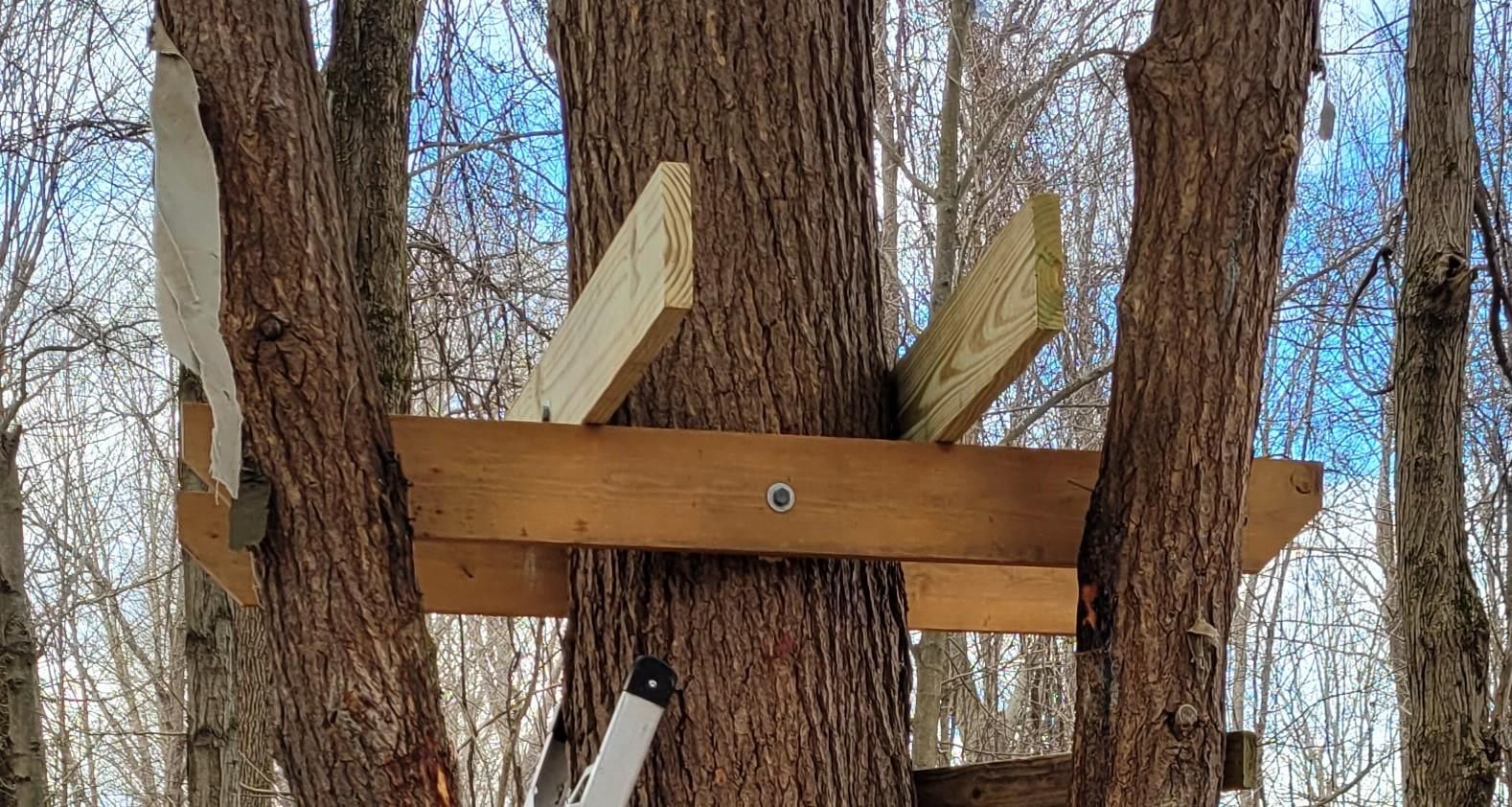 Tree Stand Blind : 12 Steps (with Pictures) - Instructables