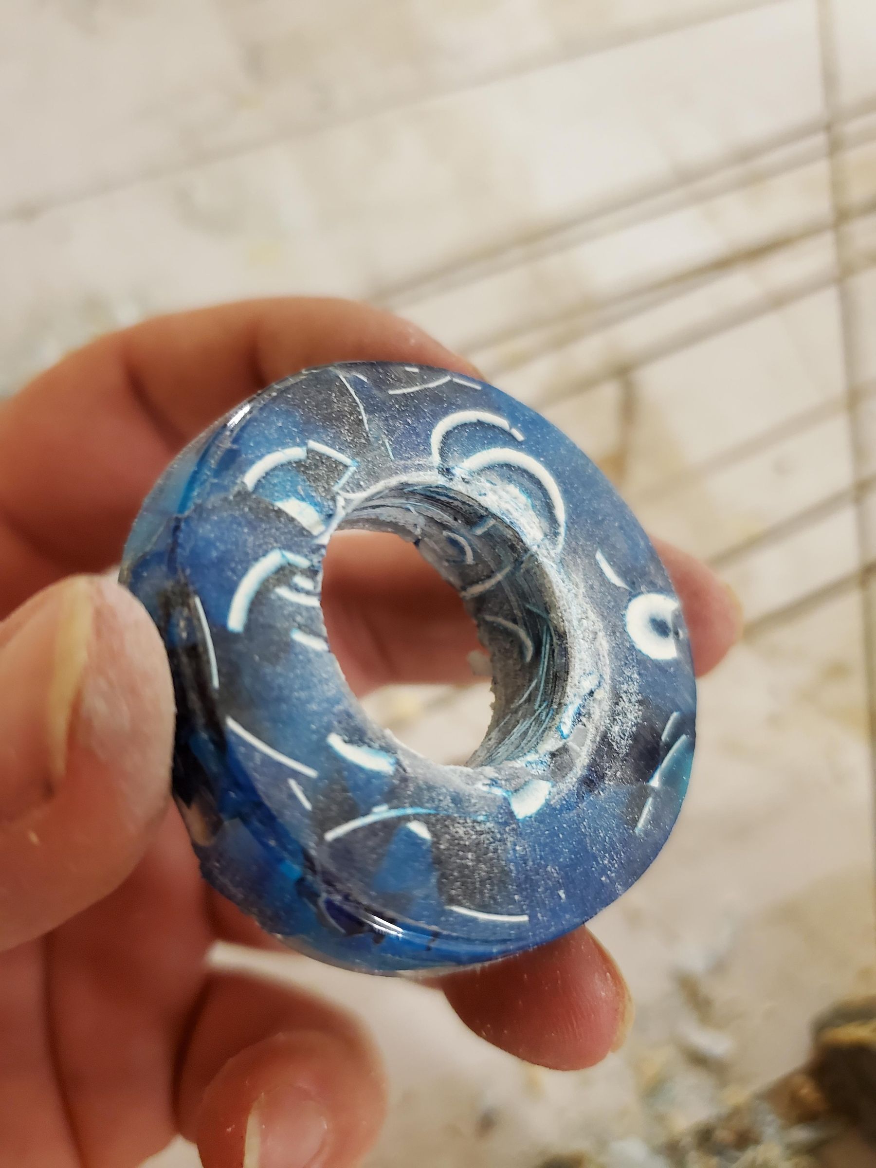 Eggshell Ring : 10 Steps (with Pictures) - Instructables