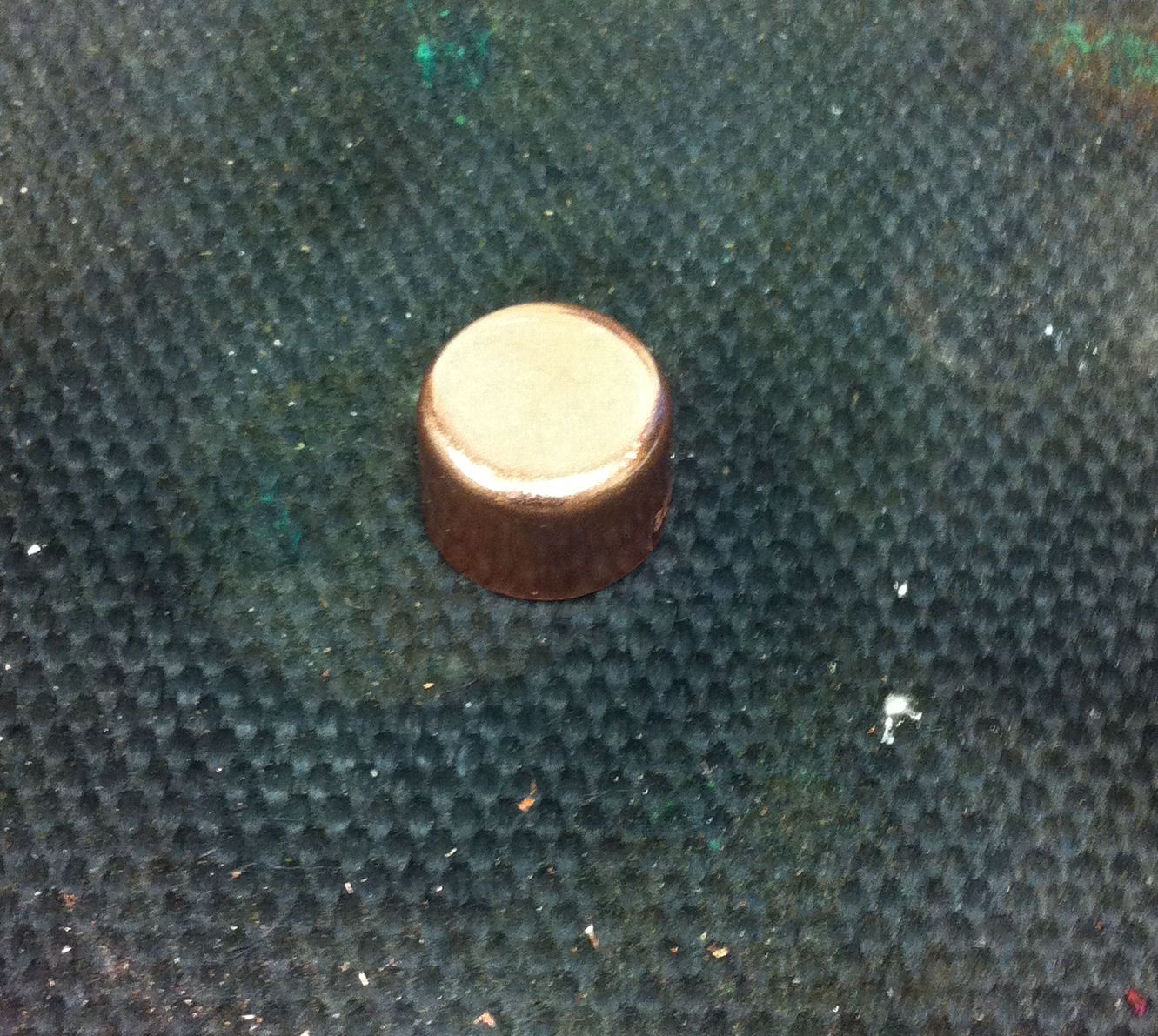 Still Parrot : 8 Steps (with Pictures) - Instructables