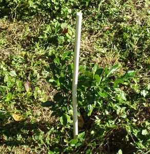 PVC GARDEN STAKES : 3 Steps - Instructables