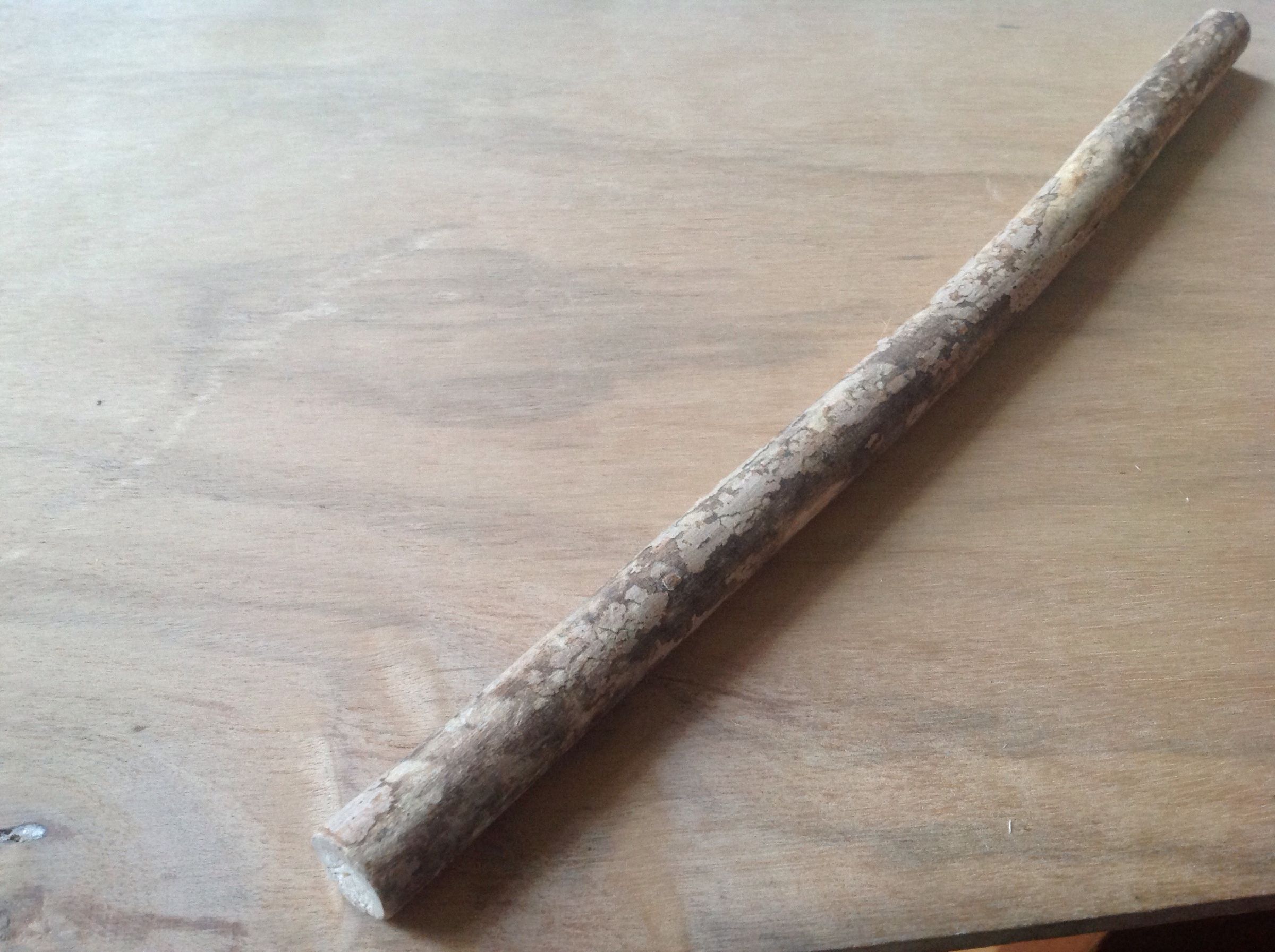 Awesome Fishing Float From Elderberry Wood : 6 Steps (with Pictures ...