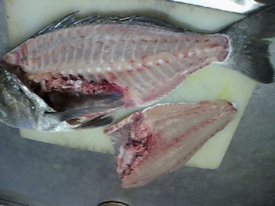 Filleting a Fish : 5 Steps (with Pictures) - Instructables