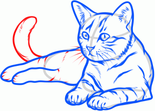 How to Draw a Cat : 9 Steps - Instructables