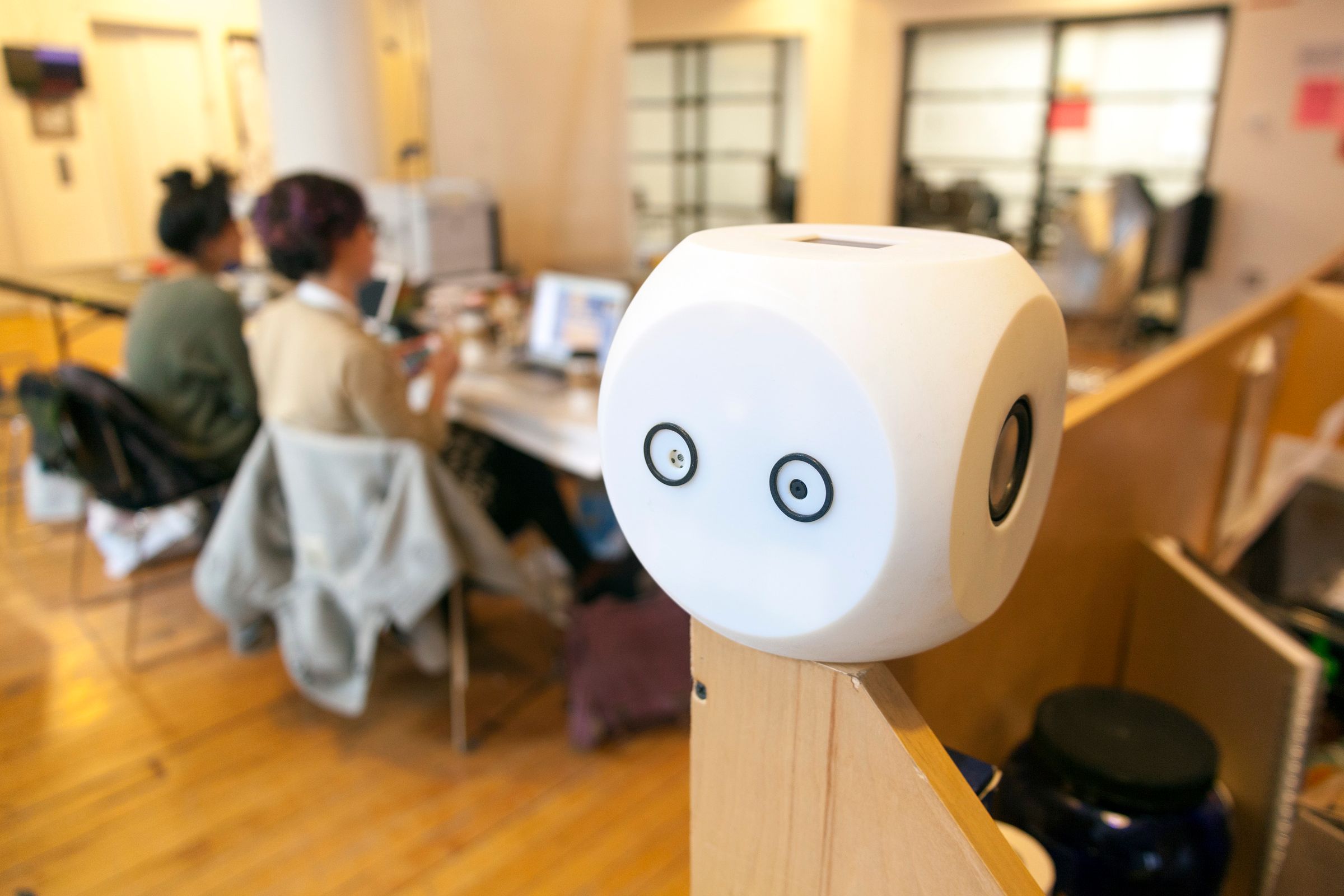 Noodle: a Crowdsourced Robot : 19 Steps (with Pictures) - Instructables