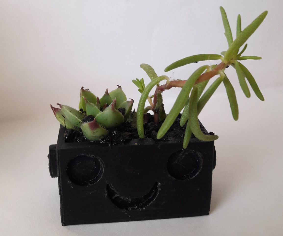Biodegradable Flower Pot : 6 Steps - Instructables