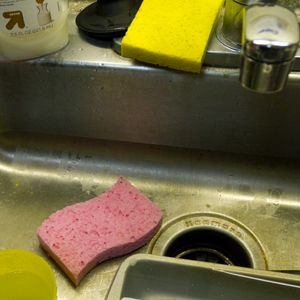 What You Never Knew About Doing the Dishes With a Sponge : 6 Steps ...