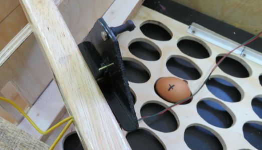 DIY Home Made Incubator From a to Z : 4 Steps (with Pictures ...