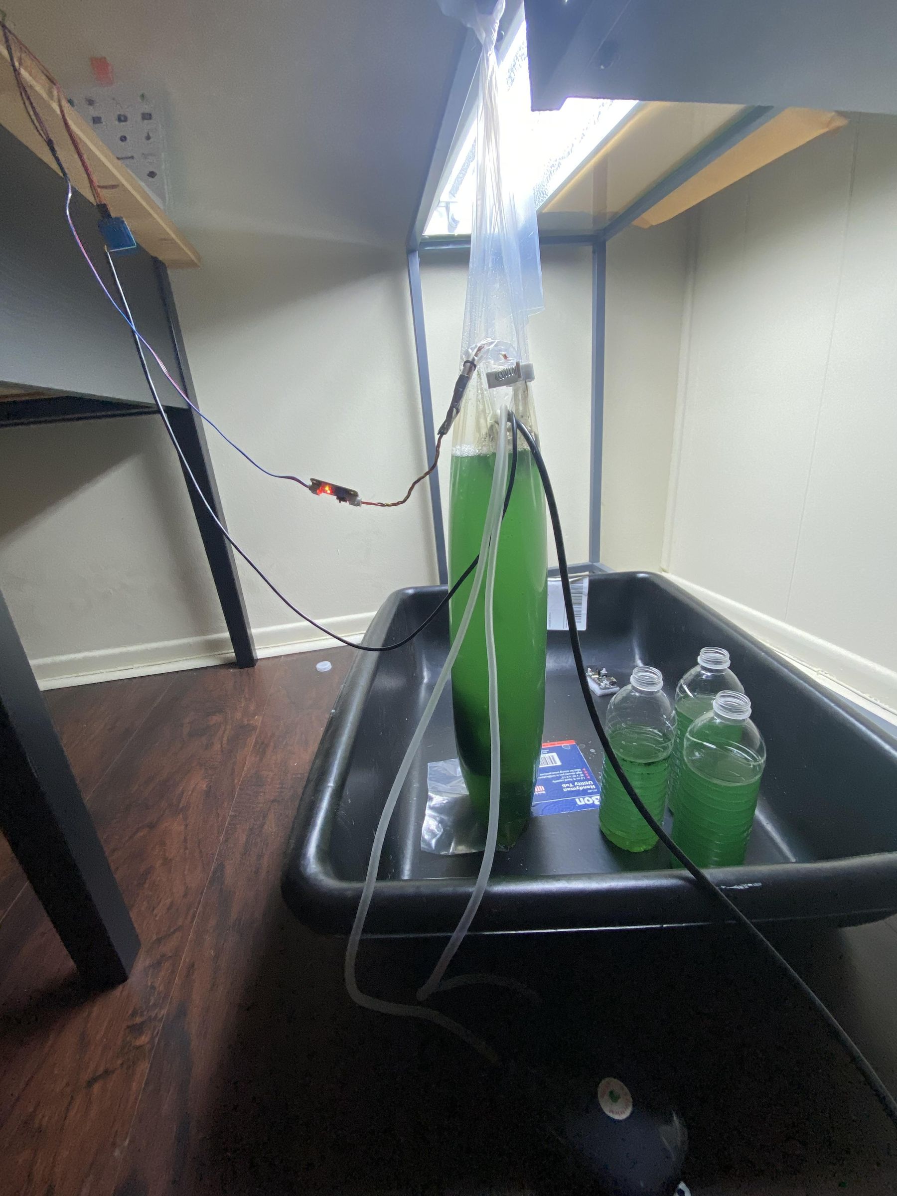 DIY Proof-of-concept Spirulina Photobioreactor to Reduce CO2 Emissions ...