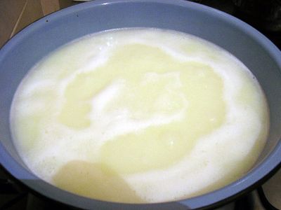 Kitchen Laboratory: Proteins and Cheese Making : 15 Steps (with ...