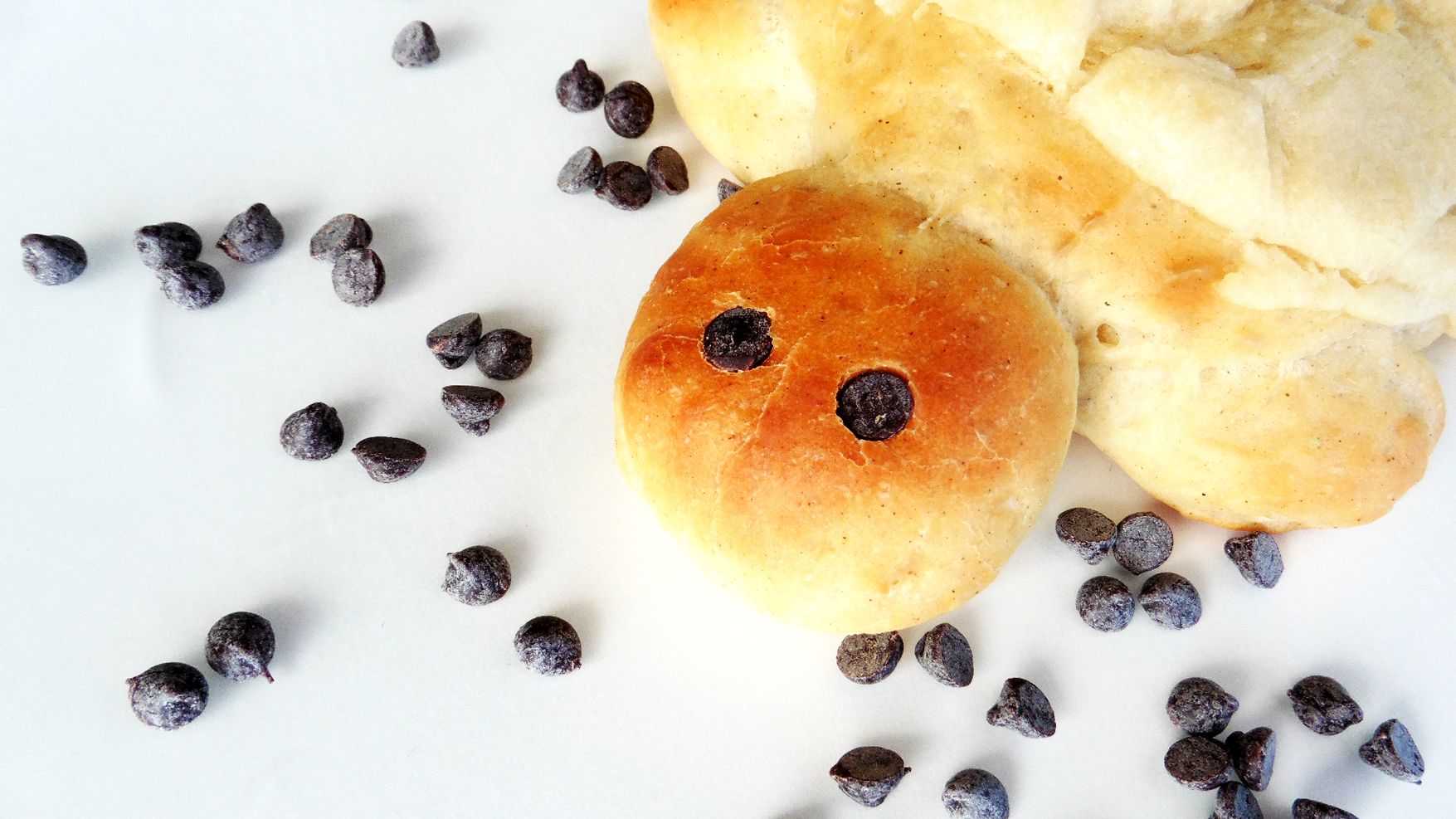 Turtle Bread: Tortuga Conchas : 6 Steps (with Pictures) - Instructables