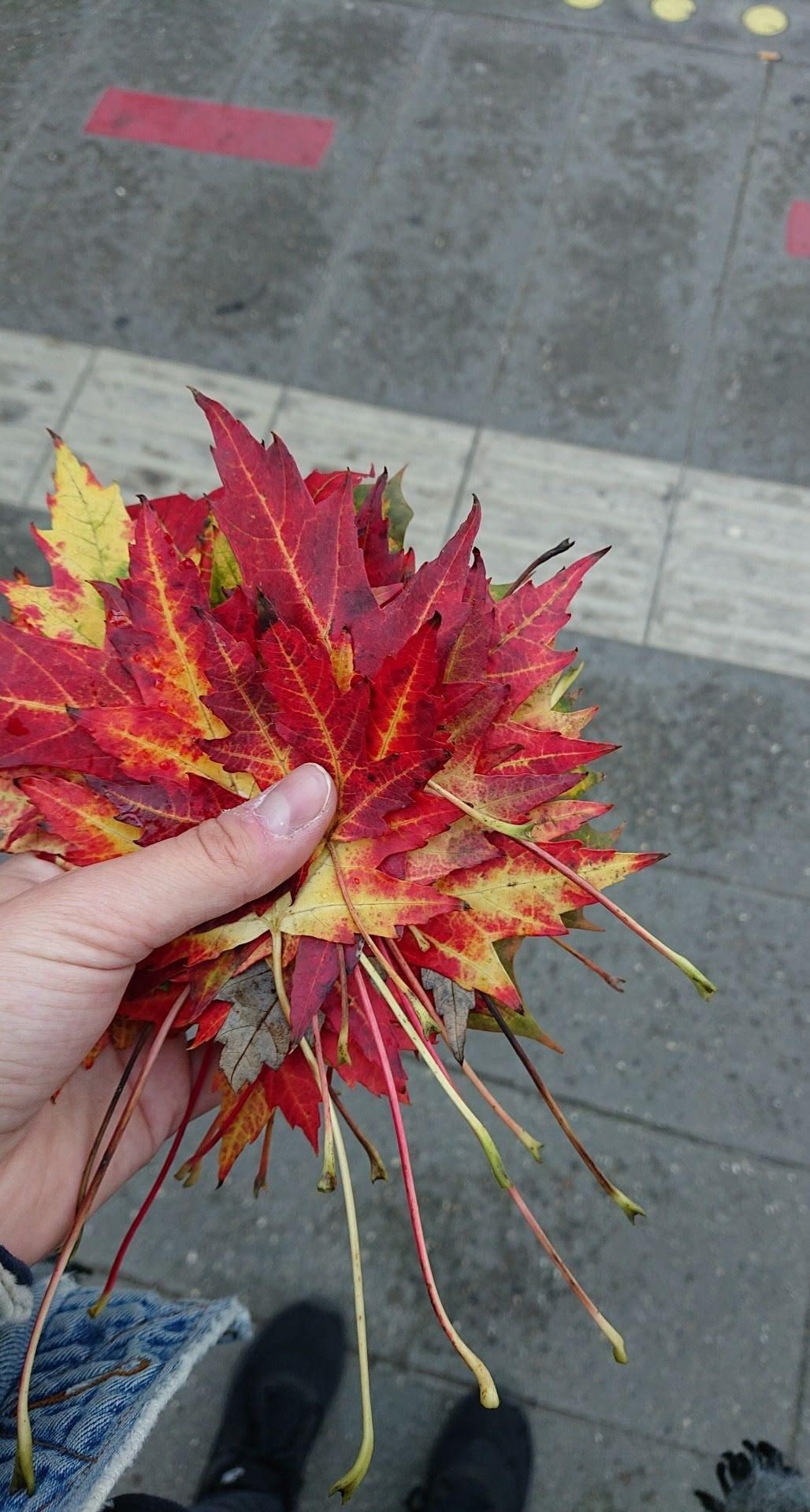 Leaf Clock : 5 Steps (with Pictures) - Instructables