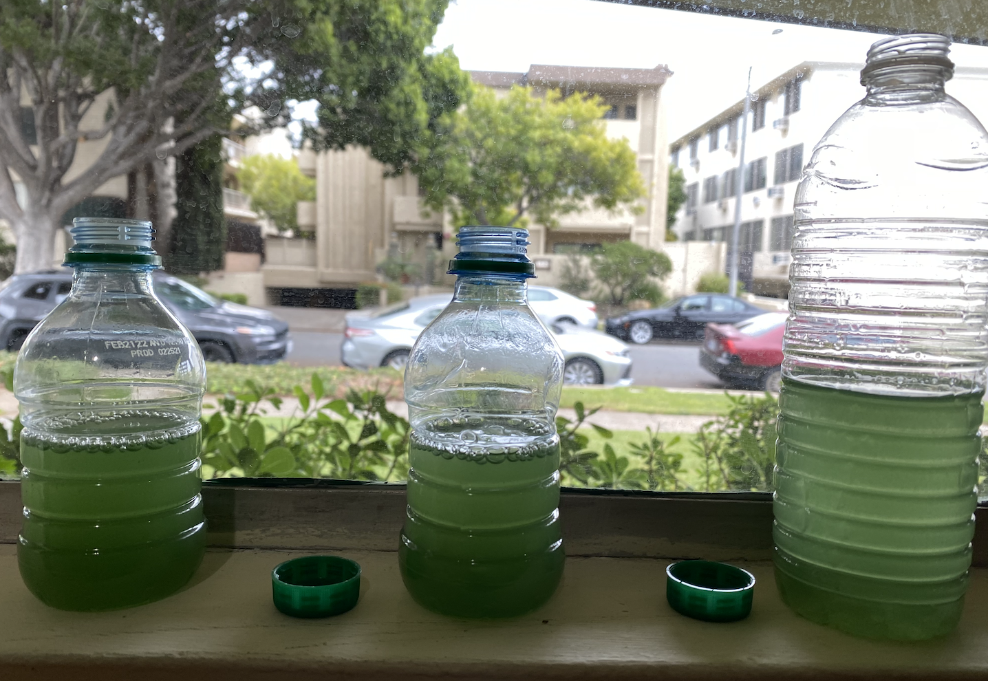 DIY Proof-of-concept Spirulina Photobioreactor to Reduce CO2 Emissions ...