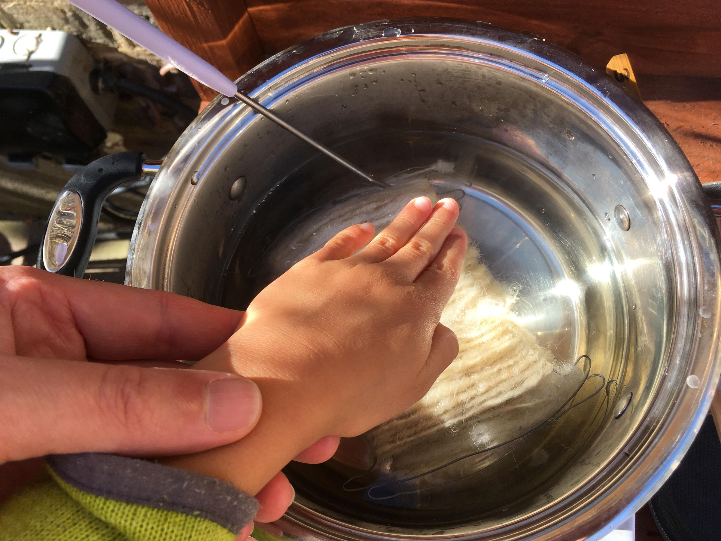 DIY Wool: Forage, Spin and Dye Your Own Yarns : 49 Steps (with Pictures ...