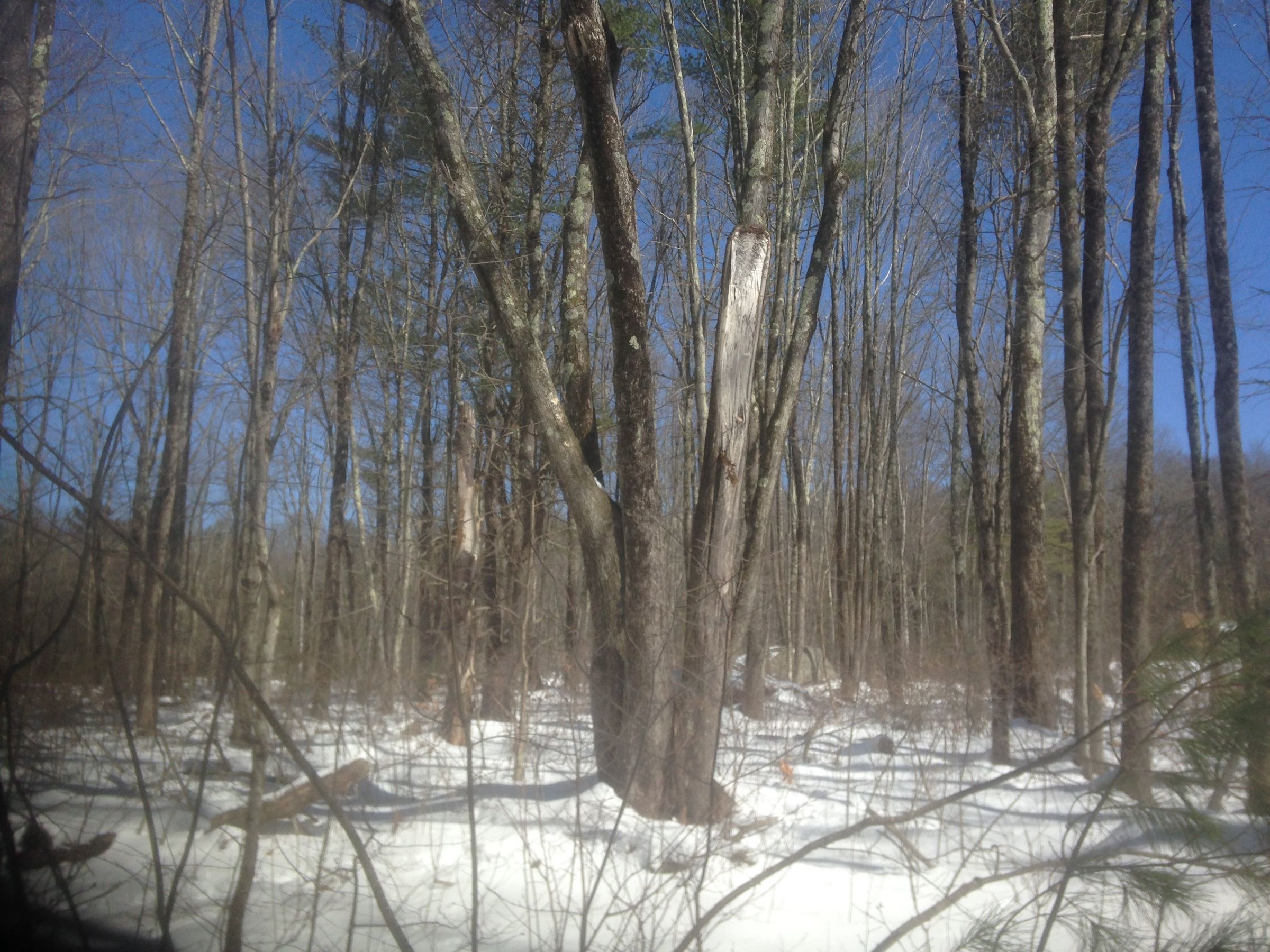 Multi Level Tree House From Recycled Materials : 10 Steps (with ...