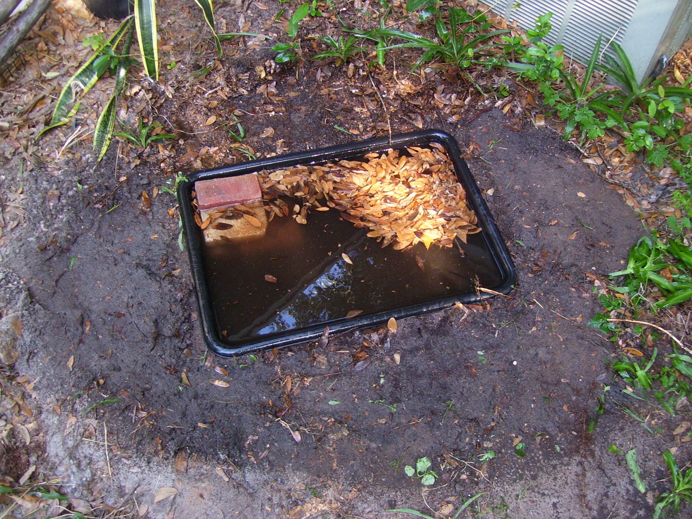 How To Build A Vernal Pool - Flatdisk24