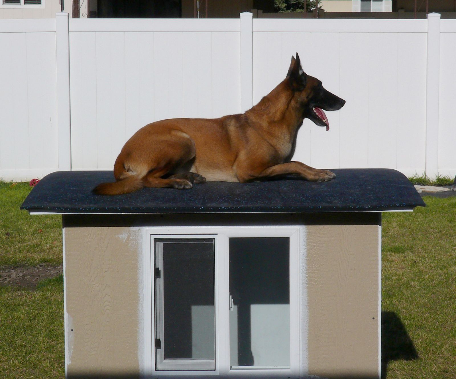 The Dog Mansion - or - Knock-Down Dog House : 6 Steps (with Pictures ...