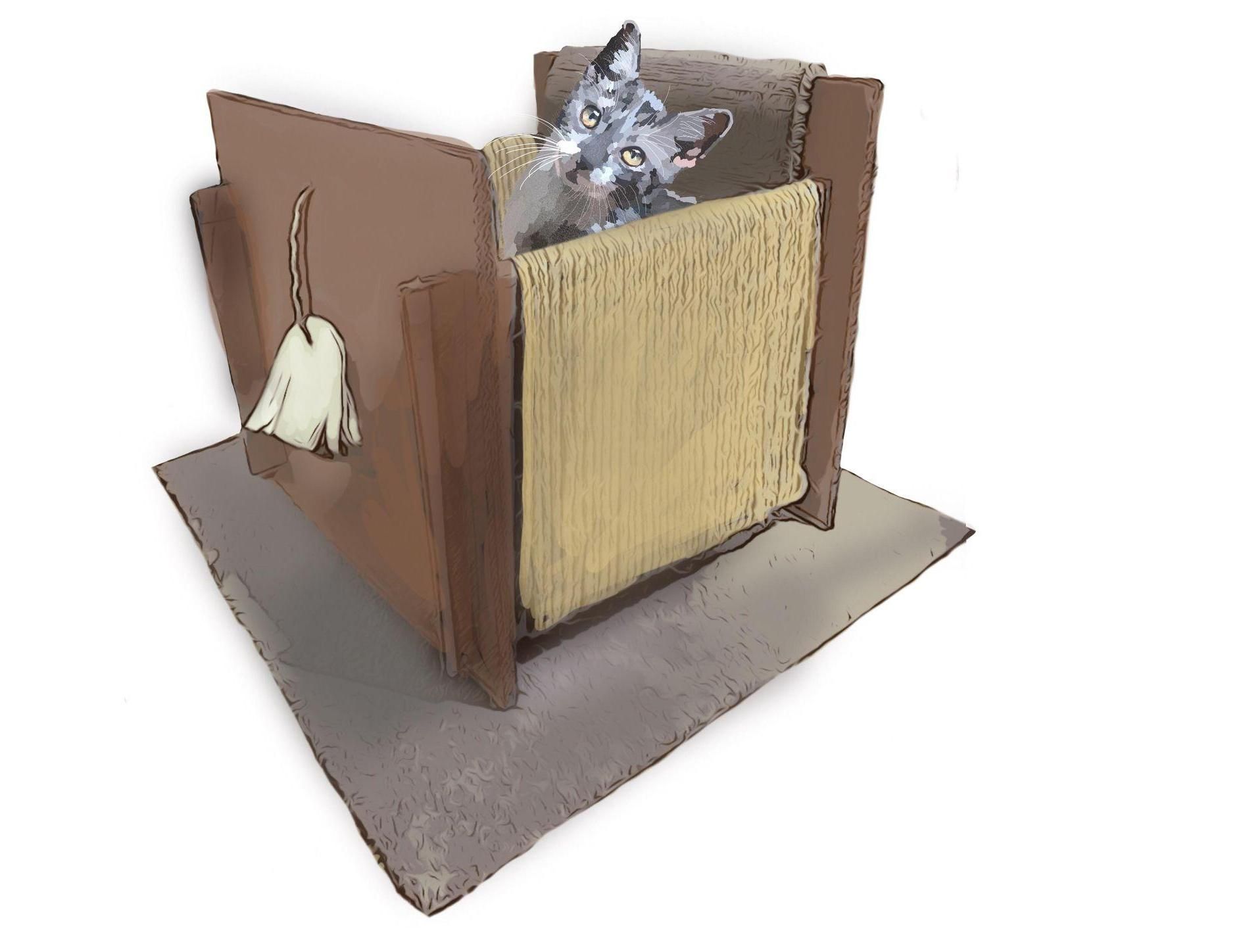 Interactive Box Cat Scratcher : 11 Steps (with Pictures) - Instructables