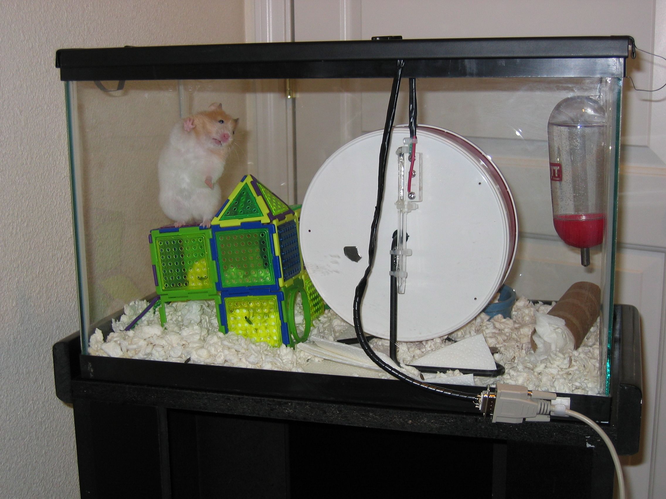 Track How Far Your Hamster Runs : 11 Steps (with Pictures) - Instructables
