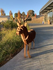 3D Cardboard Deer : 7 Steps (with Pictures) - Instructables