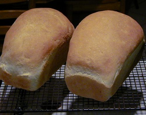 Daily Bread - Instructables