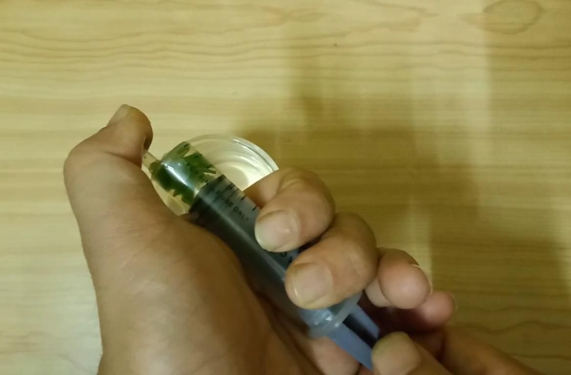 Photosynthesis in a Beaker : 5 Steps (with Pictures) - Instructables