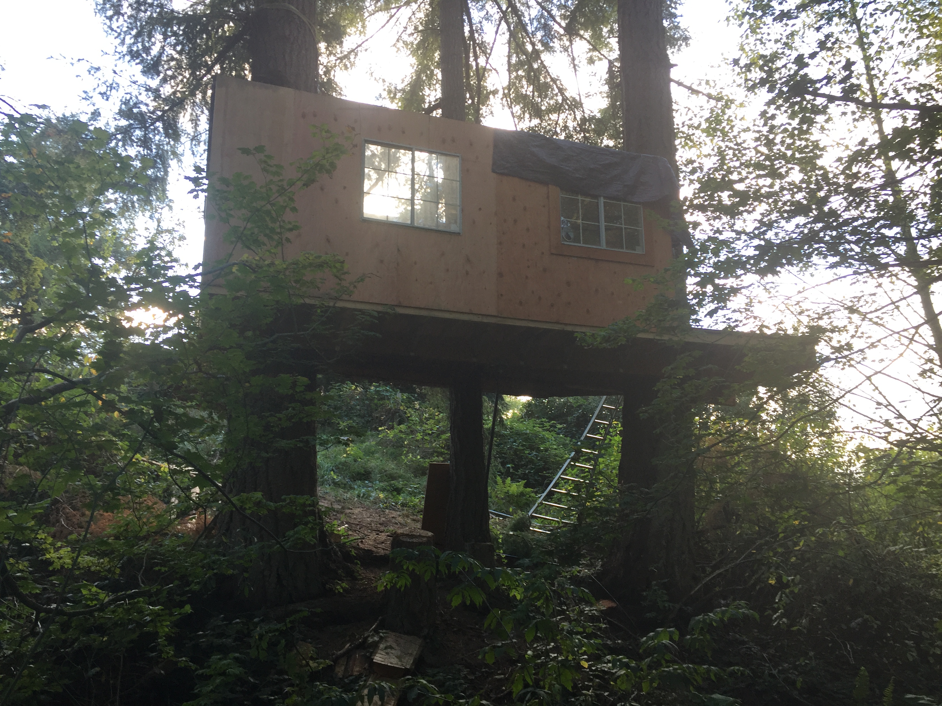 Treehouse Build : 10 Steps (with Pictures) - Instructables