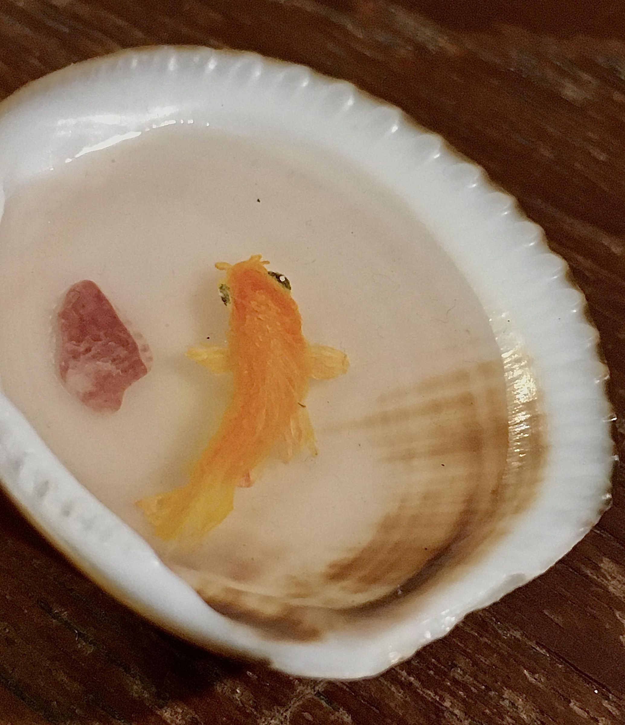 3D Painting: Layered Resin and Acrylic Paint : 9 Steps (with Pictures ...