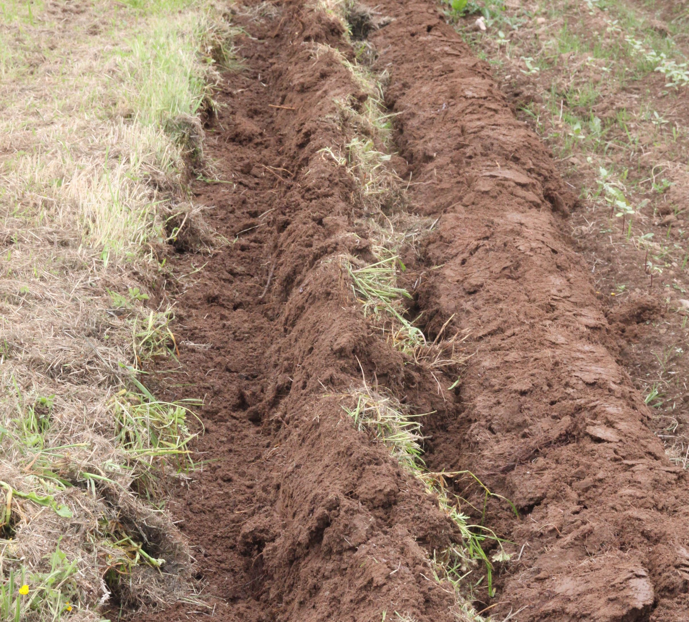 How to Plough or Plow a Field - Basic Instructions : 8 Steps (with ...