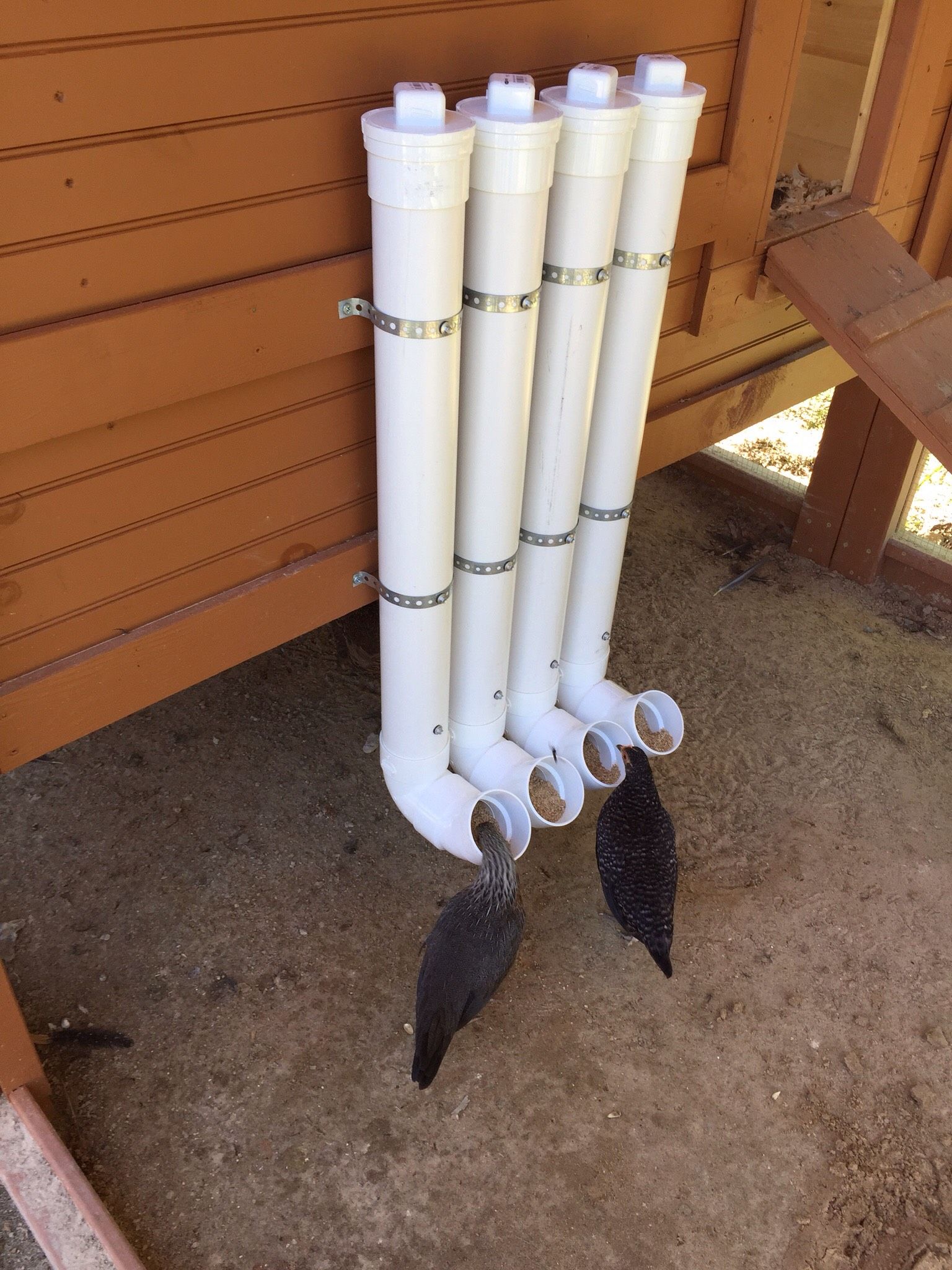 PVC Chicken Feeder : 8 Steps (with Pictures) - Instructables