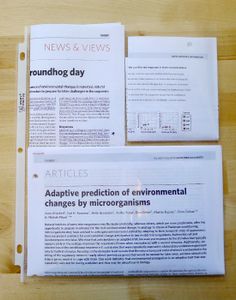 Divide Your Page Protectors : 5 Steps - Instructables