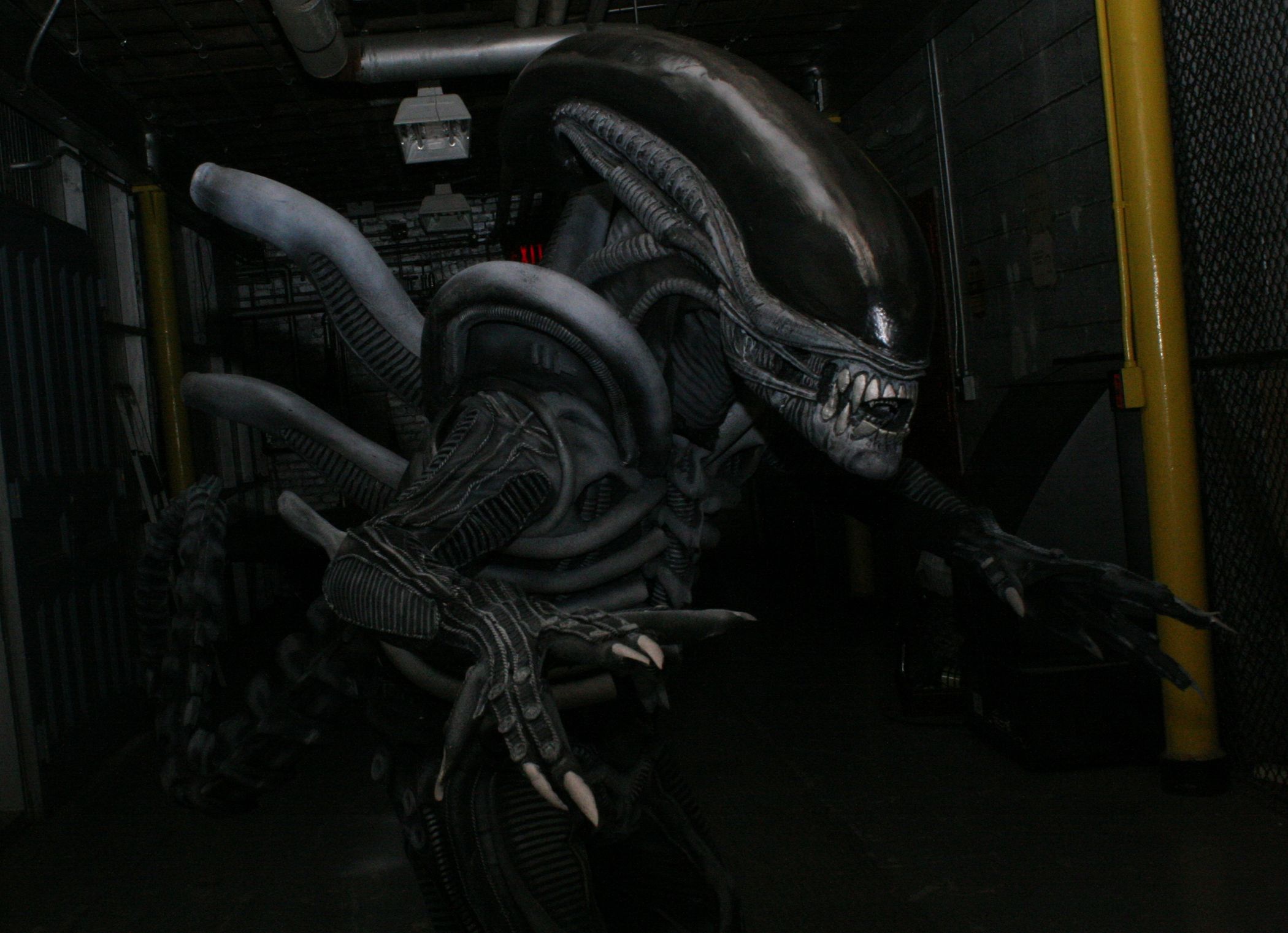 Alien Xenomorph Costume : 17 Steps (with Pictures) - Instructables