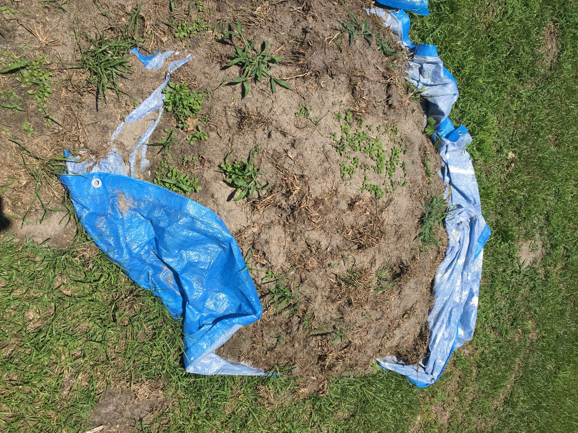 Level an Above-Ground Pool : 6 Steps (with Pictures) - Instructables